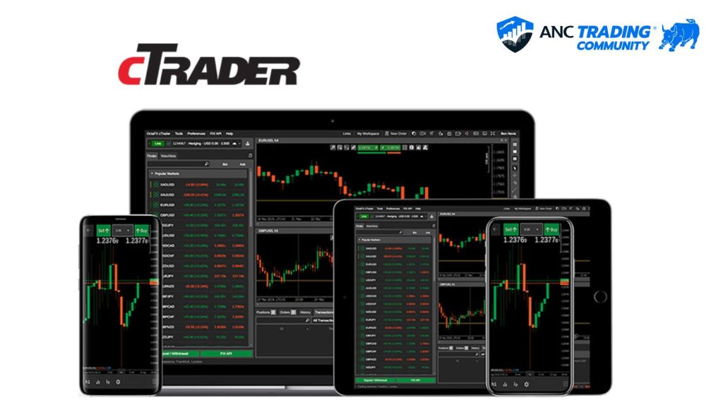 Forex Trading: A Guide to Forex, Building Strategies & Maximizing Profits